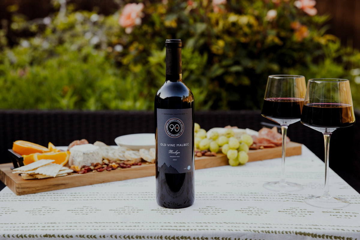 Celebrating Wines from Mendoza Argentina | 90+ Cellars