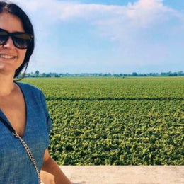 All Articles – 90+ Cellars