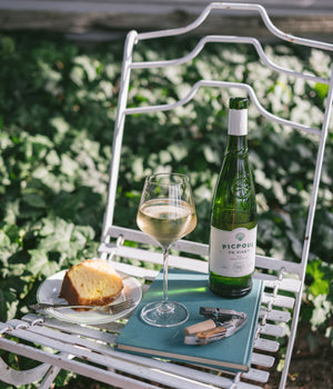 Join Our Wine Club Today for Great Wine Deals | 90+ Cellars