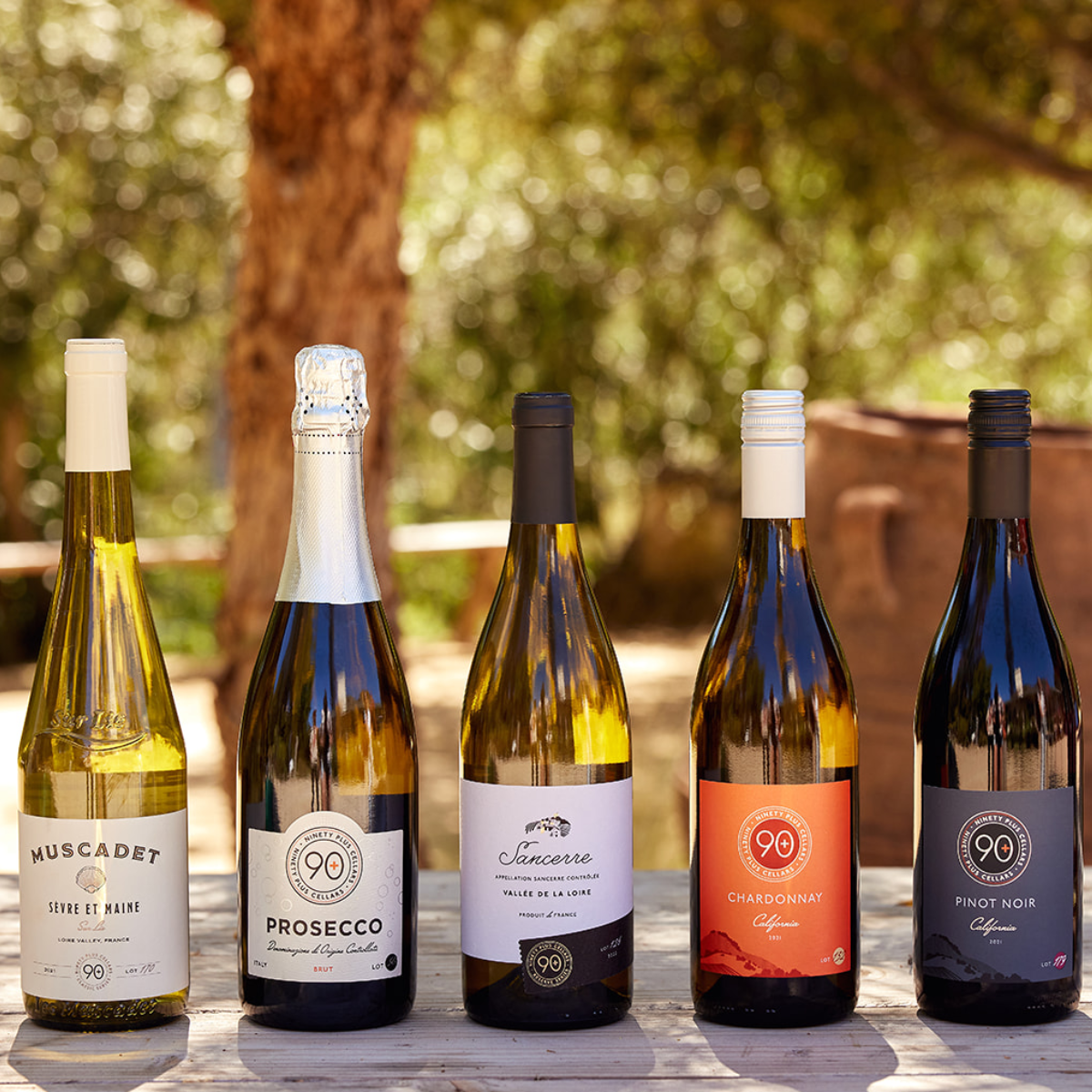 Great Wine For All | 90+ Cellars